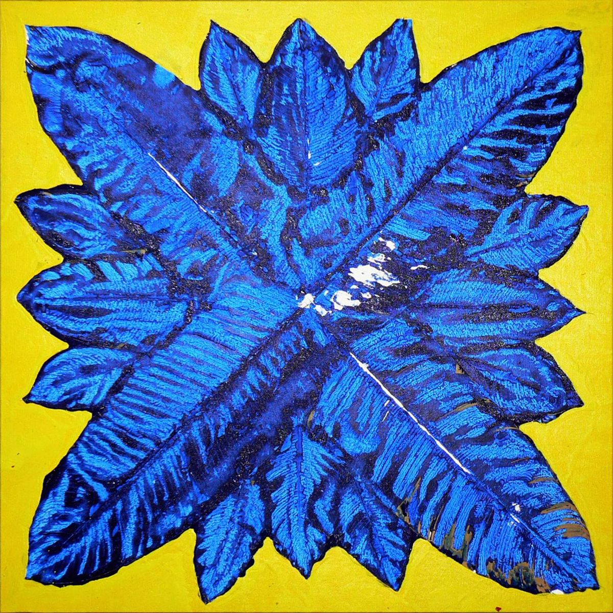 Dario Basso Biography, Artworks & Exhibitions | Ocula Artist