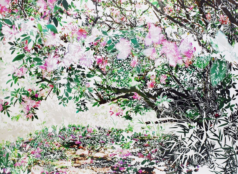 Bik Wong's Art For Sale, Exhibitions & Biography | Ocula Artist