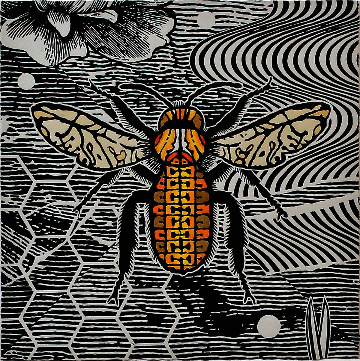 Jenny Kitchener Biography, Artworks & Exhibitions | Ocula Artist