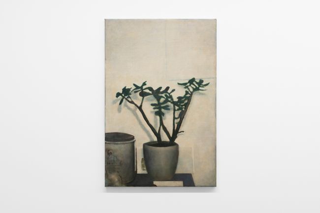 Stillleben mit Jadebaum, 2023 by Pius Fox | Ocula
