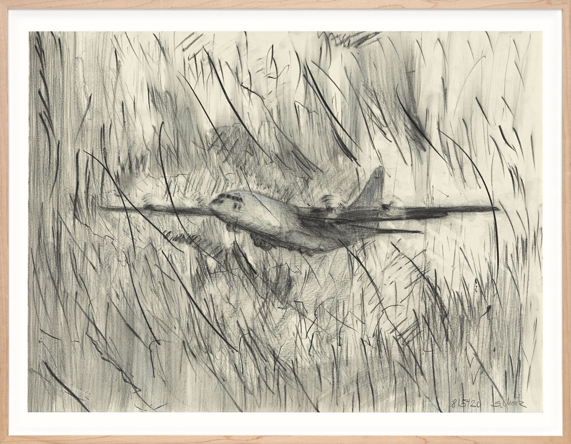 Sabine Moritz Artworks | Ocula Artist