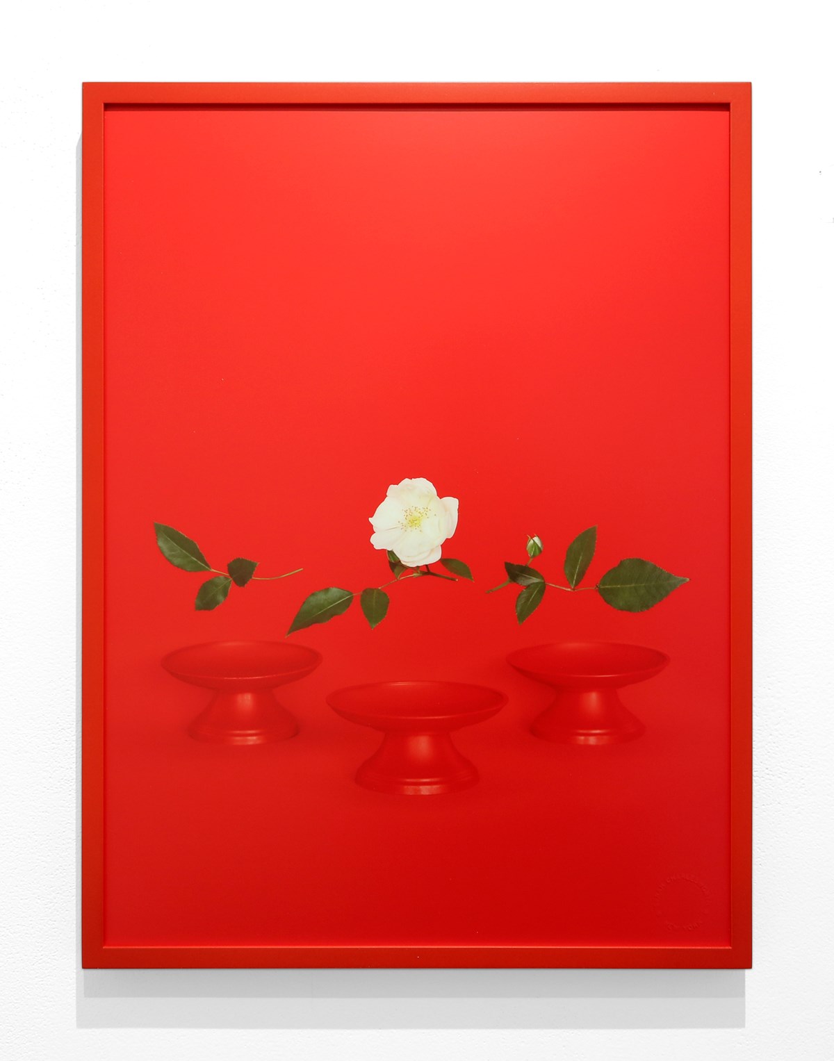 Sarah Charlesworth Biography, Artworks & Exhibitions | Ocula Artist