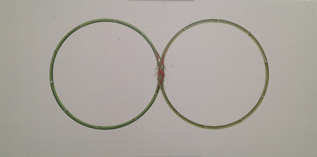 Wu Didi Biography, Artworks & Exhibitions | Ocula Artist