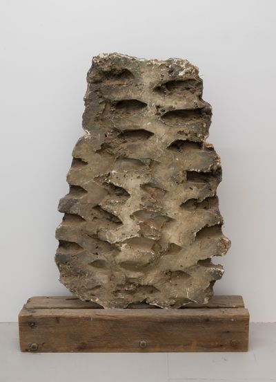 Gillian Jagger Biography, Artworks & Exhibitions | Ocula Artist