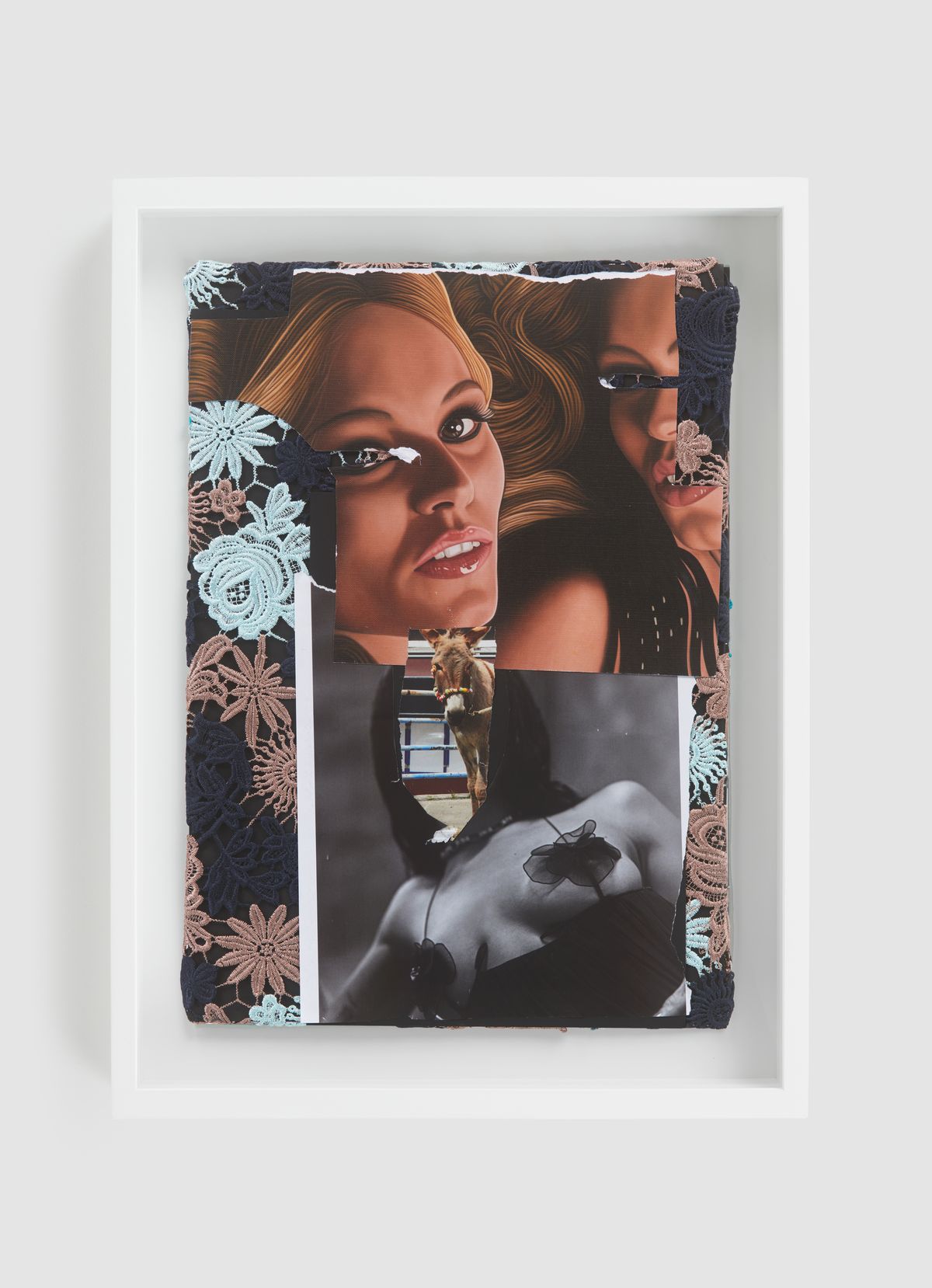 Jacqueline Fraser Biography, Artworks & Exhibitions | Ocula Artist