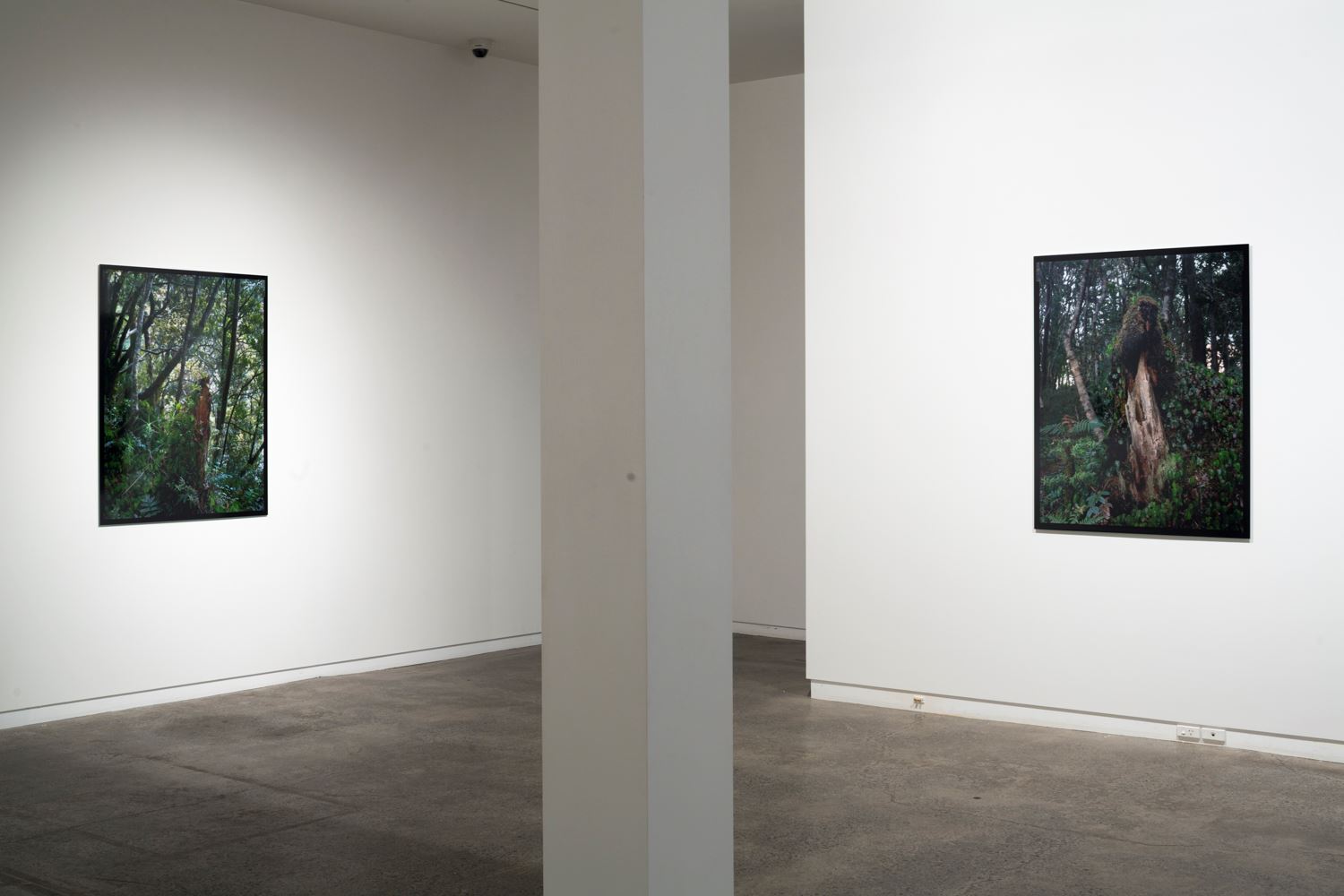 Mark Adams, 'Nine Fathoms Passage' at Two Rooms, Auckland, New Zealand ...