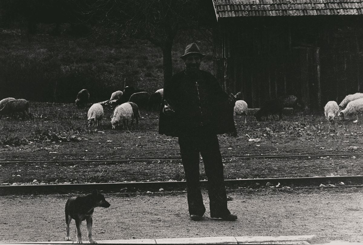 Tsun-shing Cheng Biography, Artworks & Exhibitions | Ocula Artist