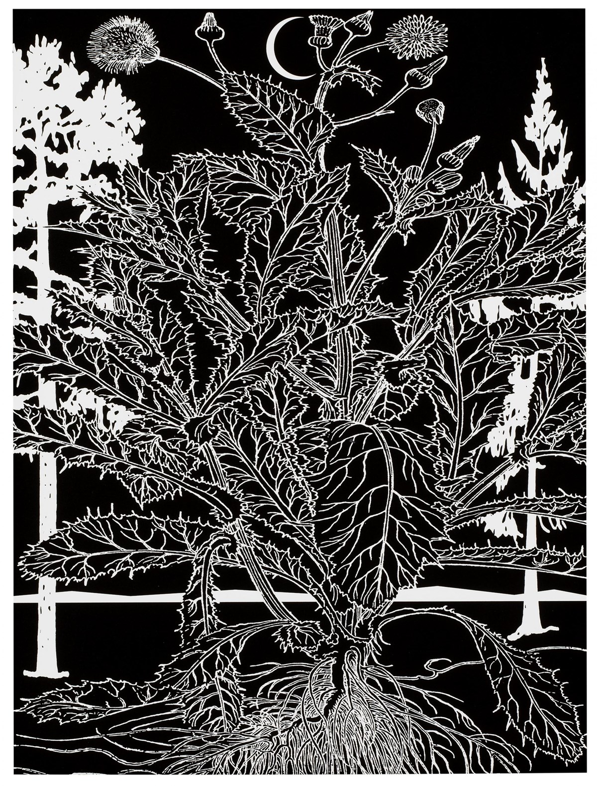 Paul Morrison's Art For Sale, Exhibitions & Biography | Ocula Artist