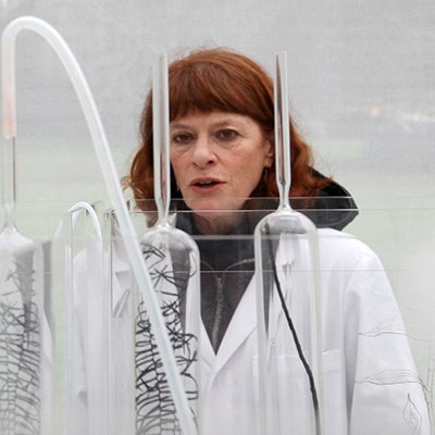 Janet Laurence's Art For Sale, Exhibitions & Biography | Ocula Artist