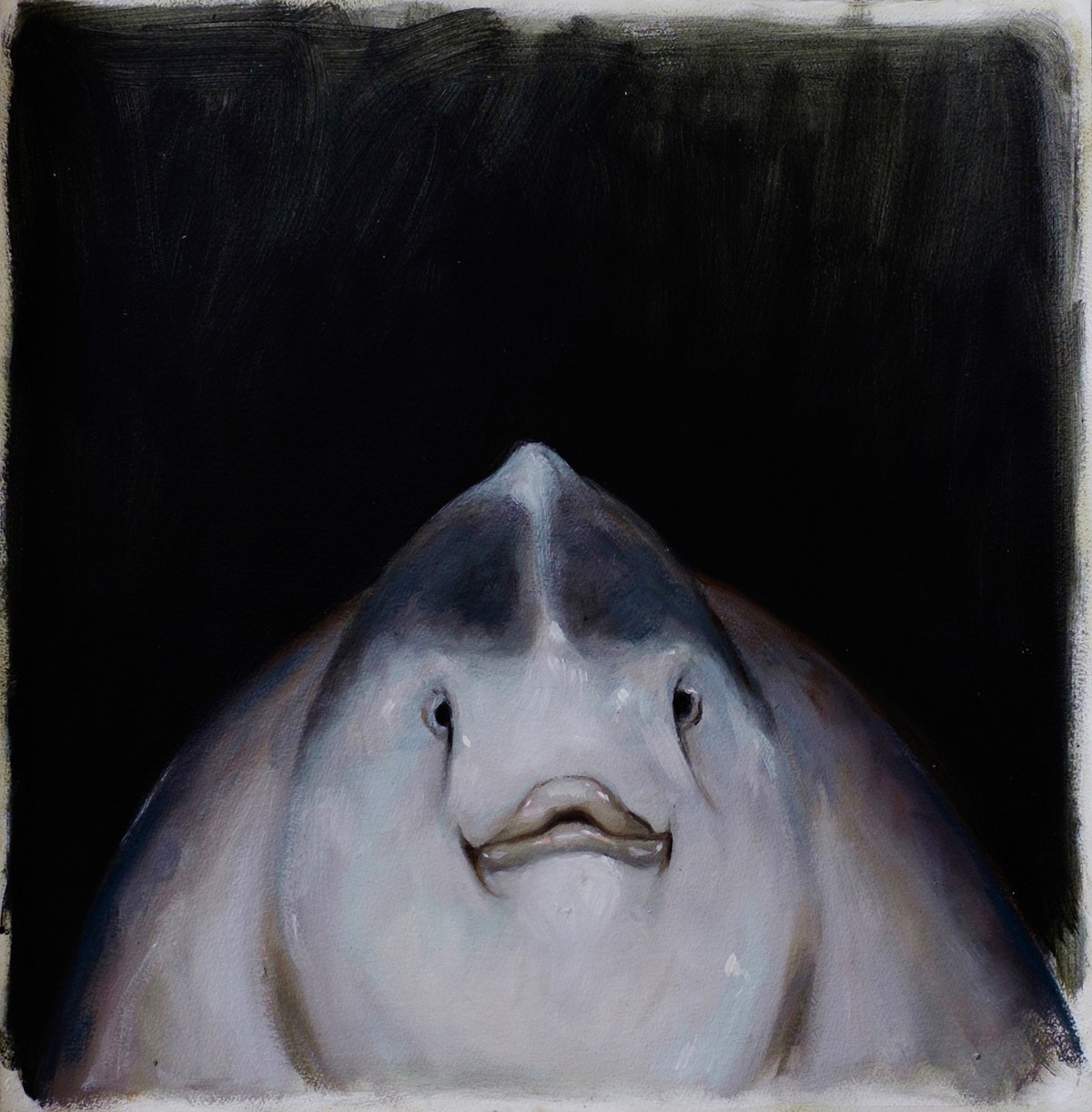 Bree Jonson's Art For Sale, Exhibitions & Biography | Ocula Artist