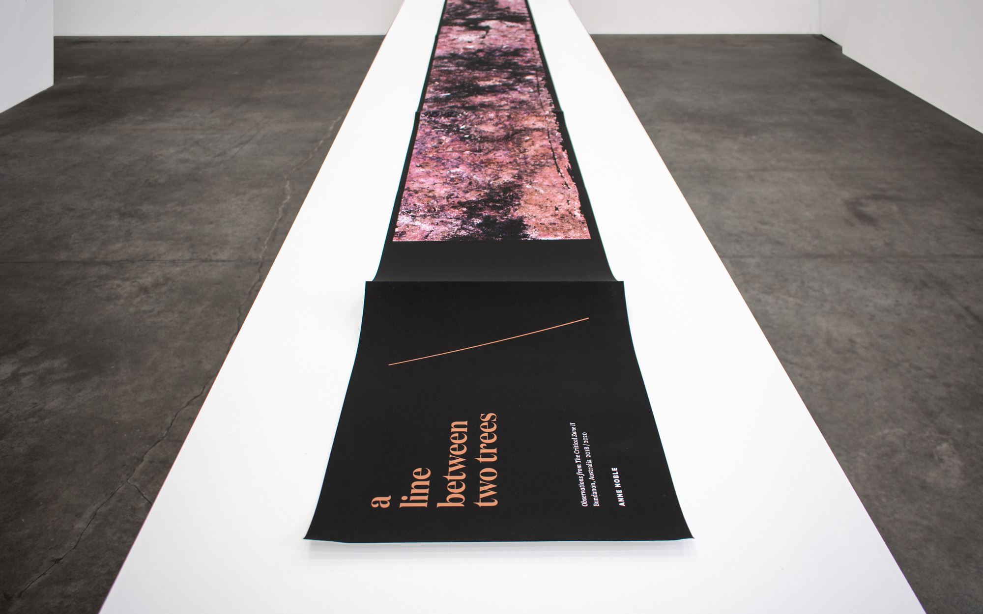 Anne Noble Biography, Artworks & Exhibitions | Ocula Artist