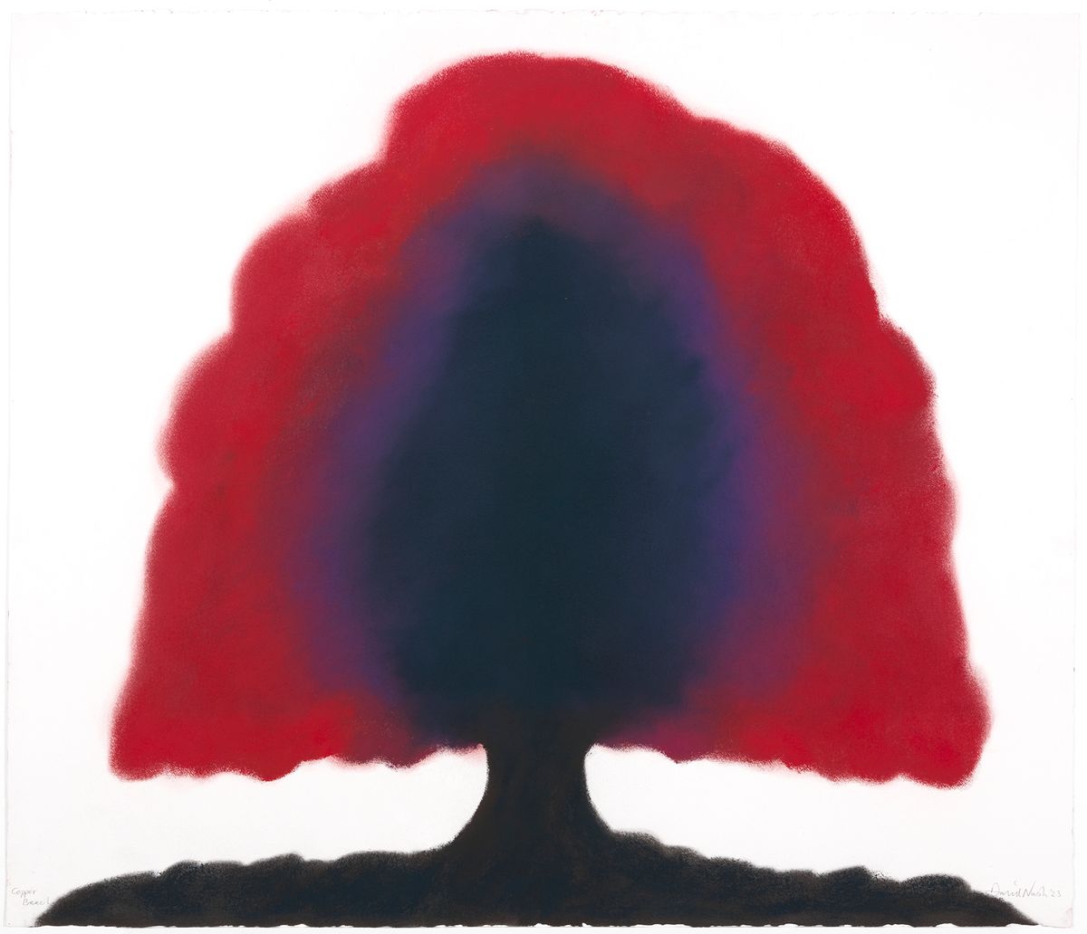 David Nash's Art For Sale, Exhibitions & Biography | Ocula Artist