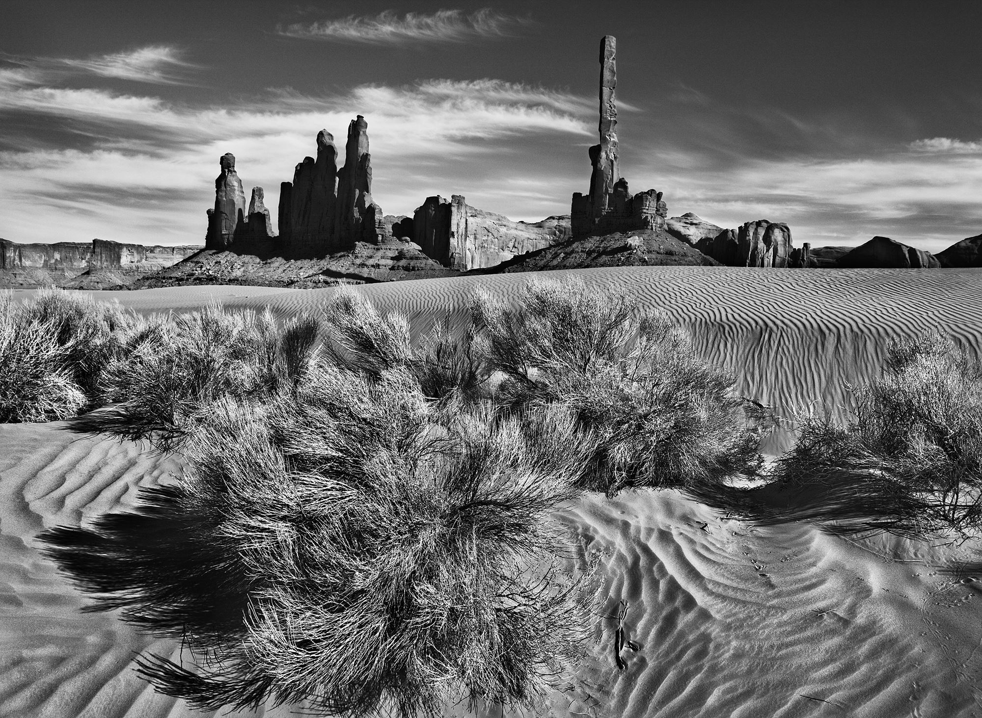 Sebastião Salgado Artworks | Ocula Artist