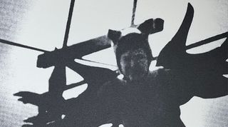 Kate Craig Biography, Artworks & Exhibitions | Ocula Artist