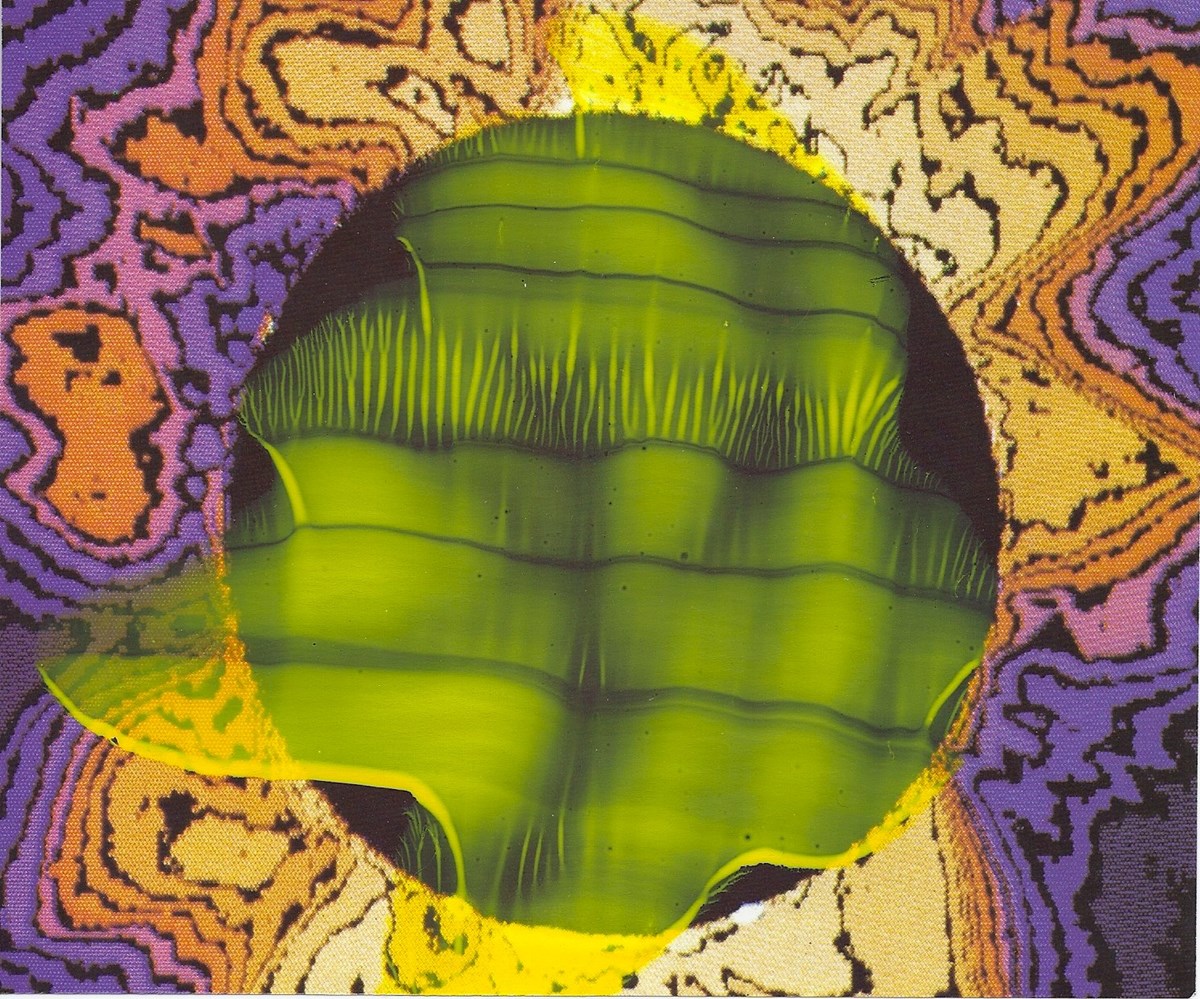 Sandra Selig Biography, Artworks & Exhibitions | Ocula Artist