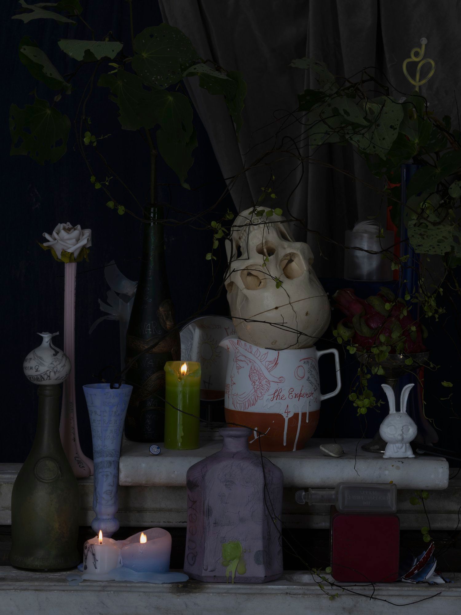 Fiona Pardington Biography, Artworks & Exhibitions | Ocula Artist