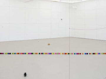 Peter Robinson Biography, Artworks & Exhibitions | Ocula Artist