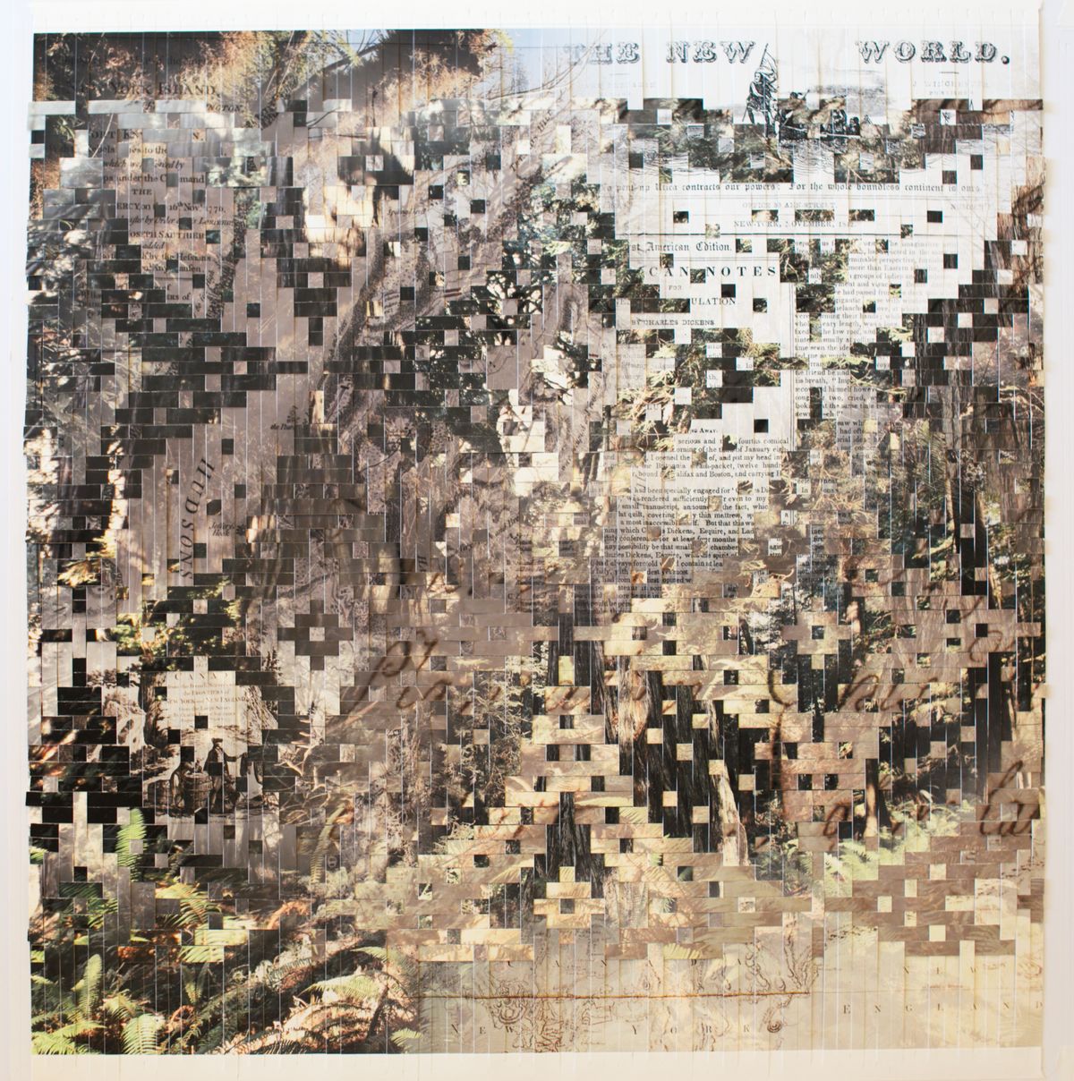 Sarah Sense Biography, Artworks & Exhibitions | Ocula Artist