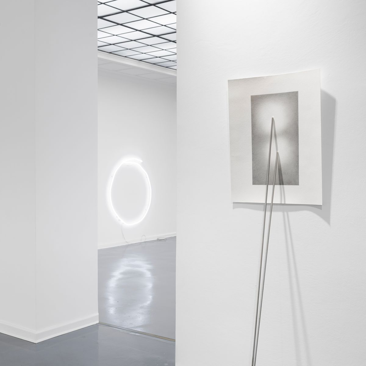 Kate Andrews' Art For Sale, Exhibitions & Biography | Ocula Artist