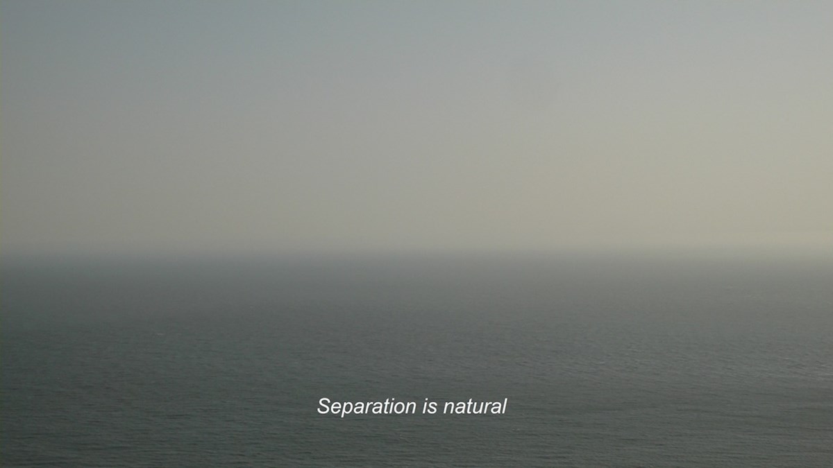 Regina De Rozario's Art For Sale, Exhibitions & Biography | Ocula Artist