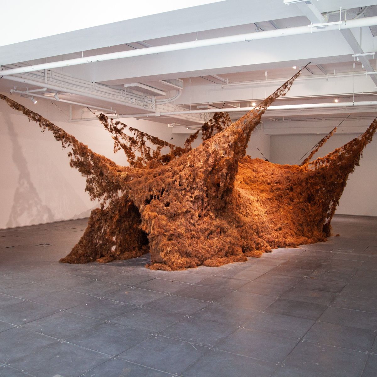 Wing Po So's Art For Sale, Exhibitions & Biography | Ocula Artist