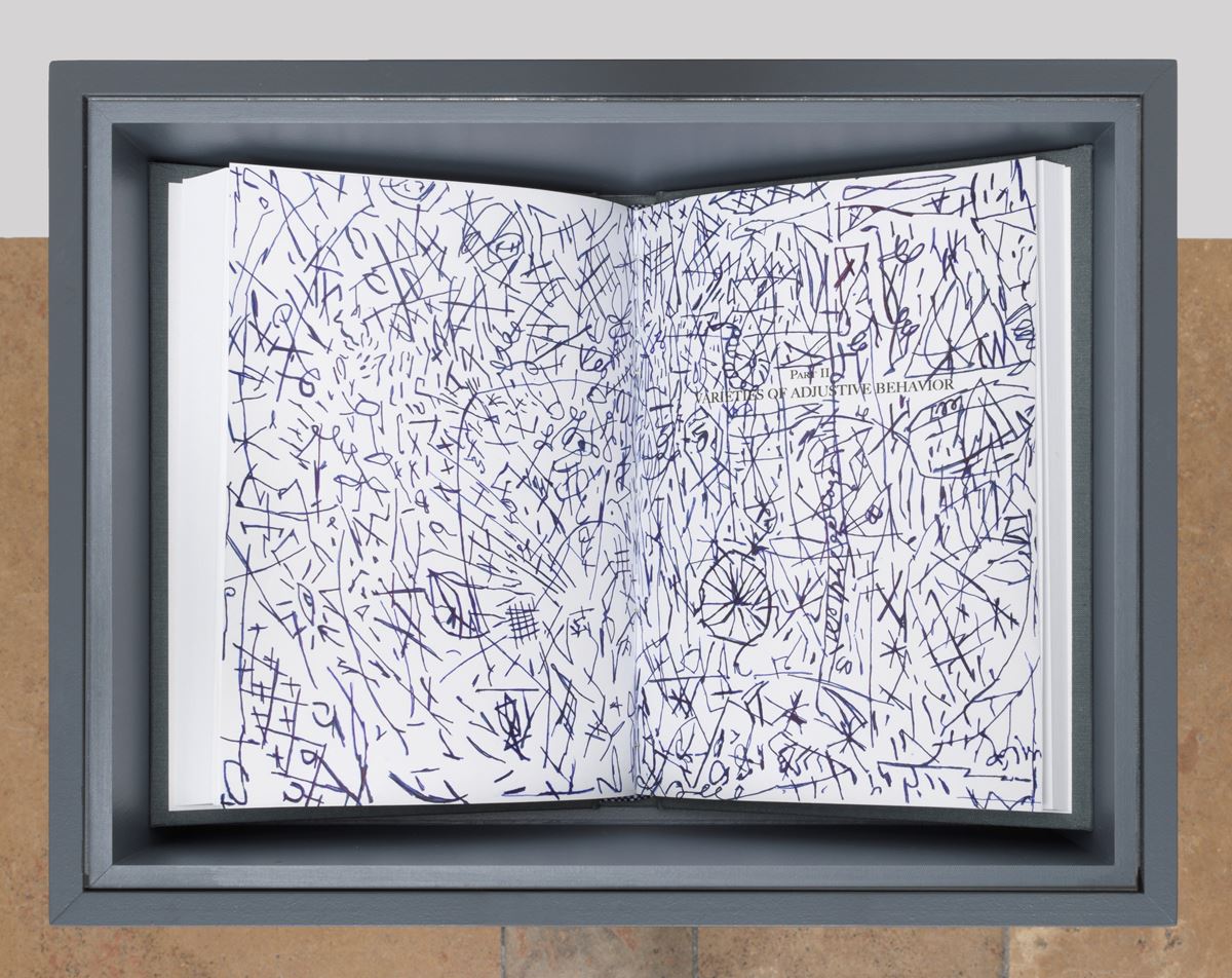 Barbara Bloom's Art For Sale, Exhibitions & Biography | Ocula Artist