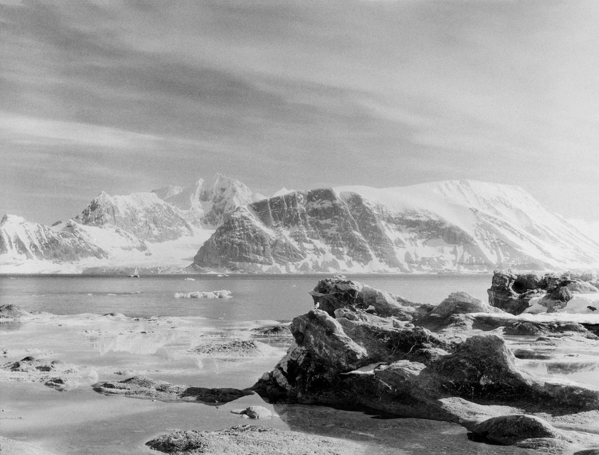 Brooke Holm Biography, Artworks & Exhibitions | Ocula Artist