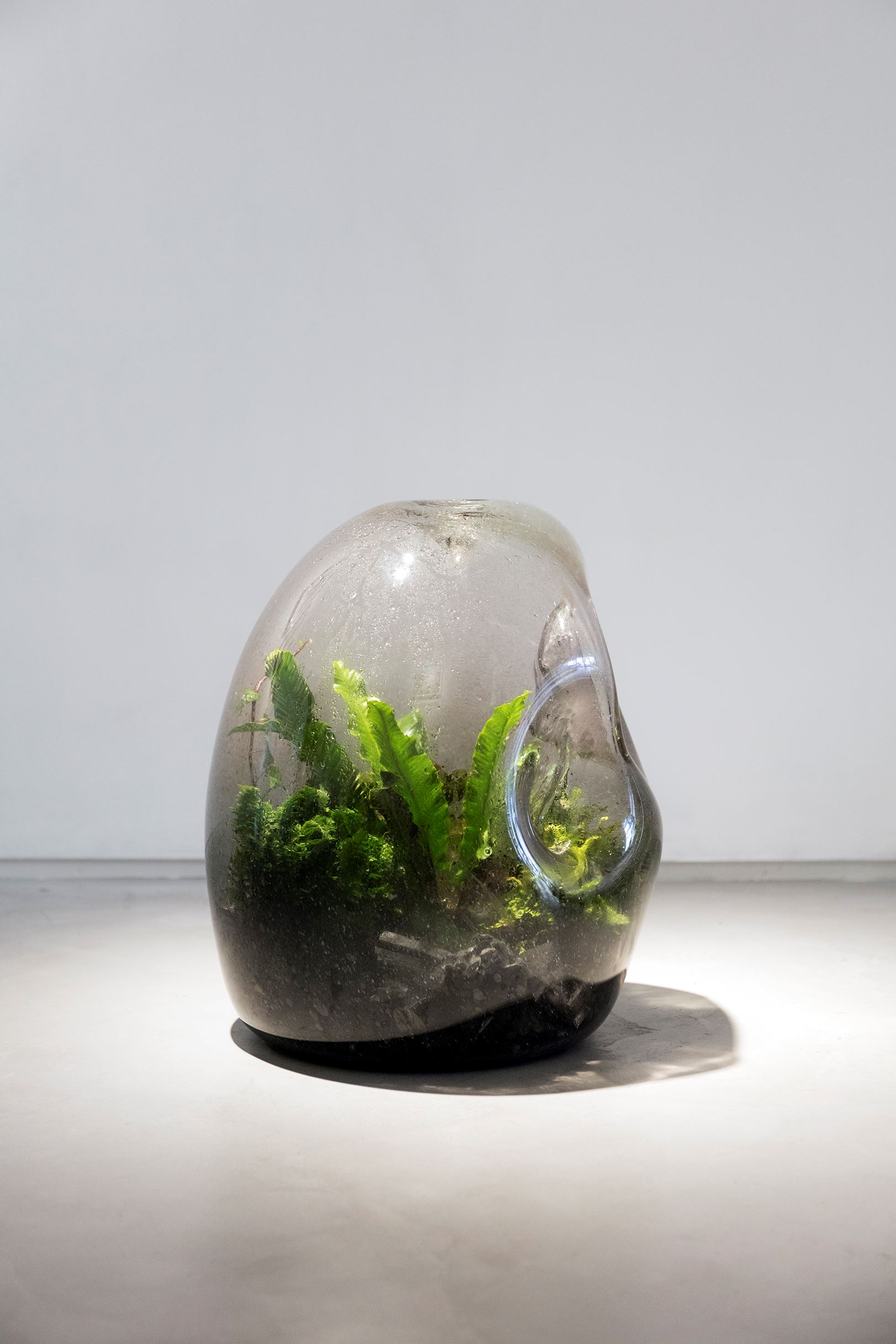 Jamie North Biography, Artworks & Exhibitions | Ocula Artist