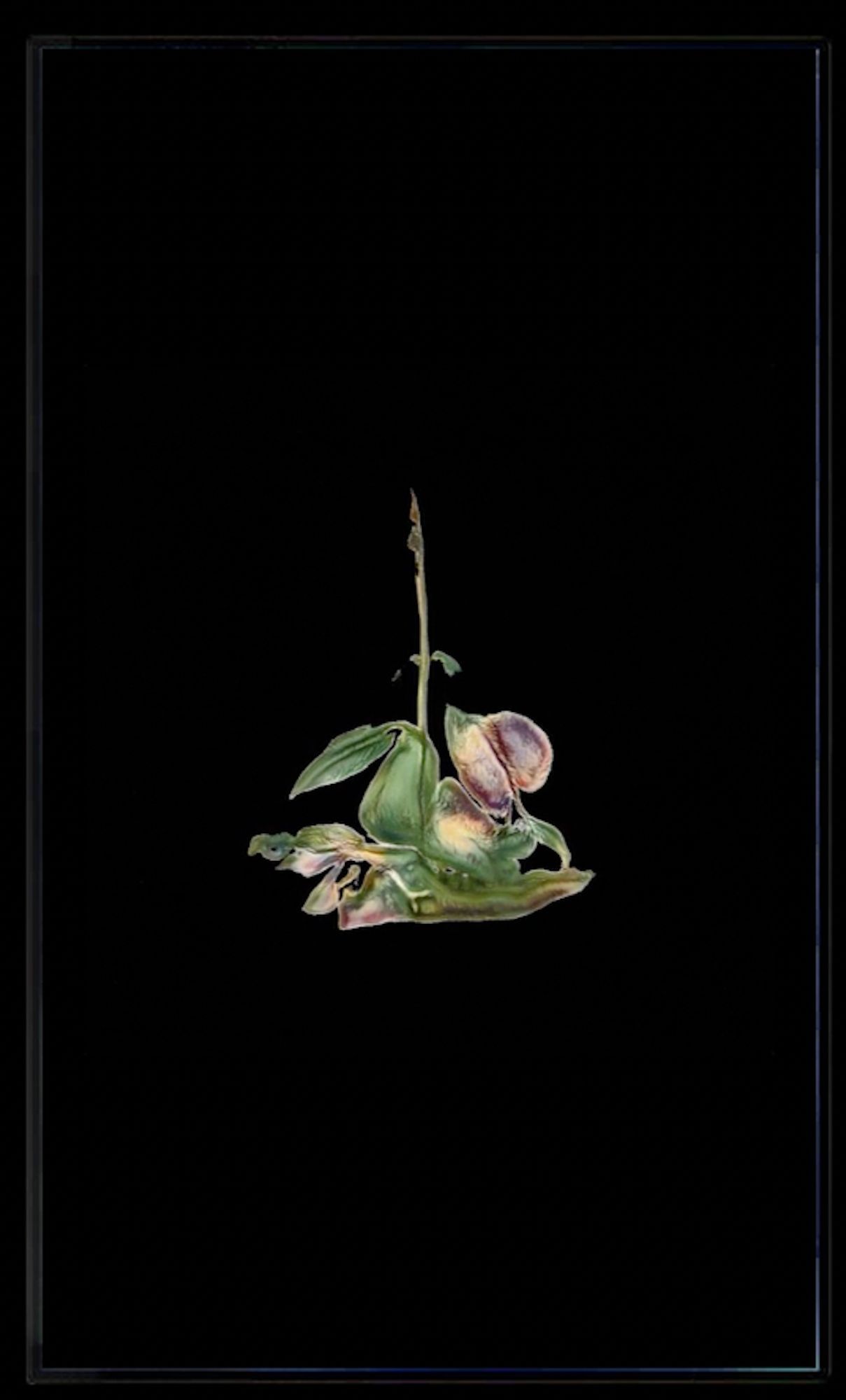 Caroline Rothwell Artworks | Ocula Artist