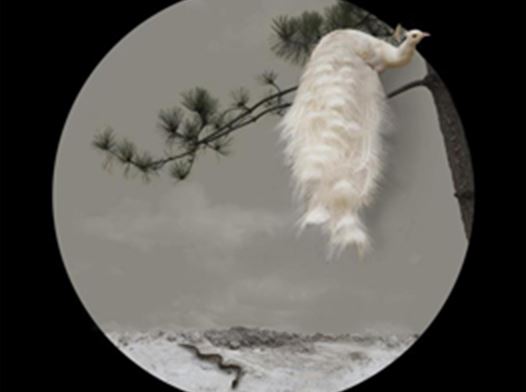 Zhou Hongbin | Artist Profile, Exhibitions & Artworks | Ocula