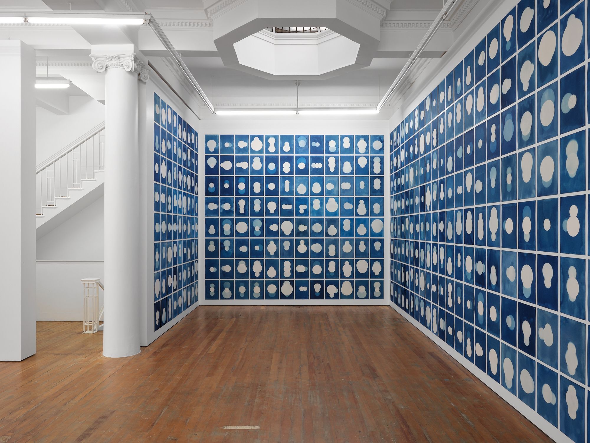 Gavin Hipkins, 'Blue Field' at Michael Lett, Karangahape Road, Auckland ...