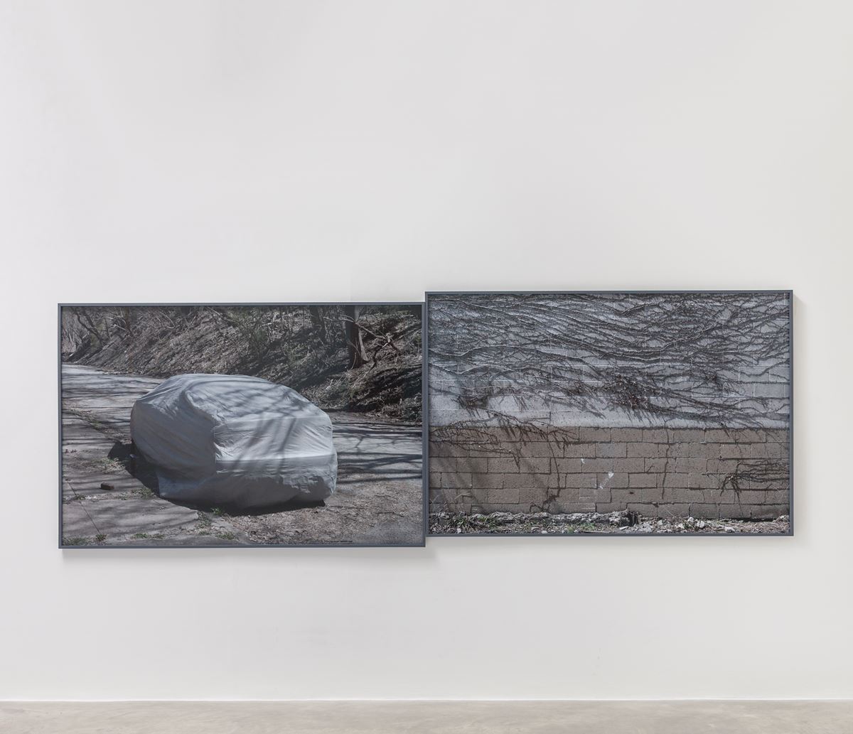 Willie Doherty's Art For Sale, Exhibitions & Biography | Ocula Artist