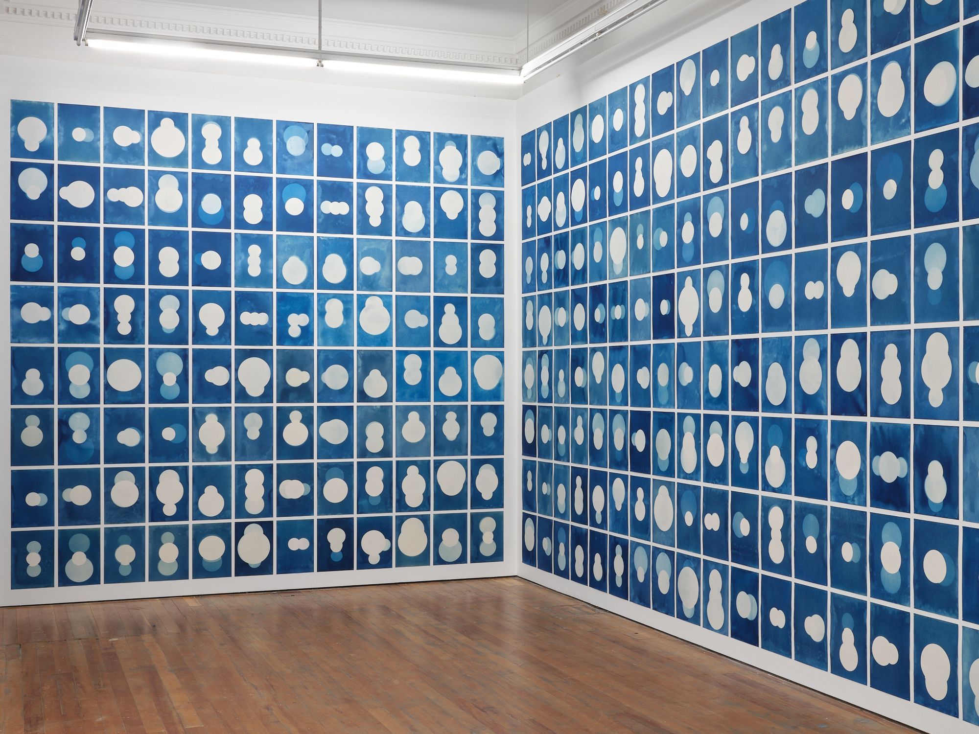 Gavin Hipkins, 'Blue Field' at Michael Lett, Karangahape Road, Auckland ...