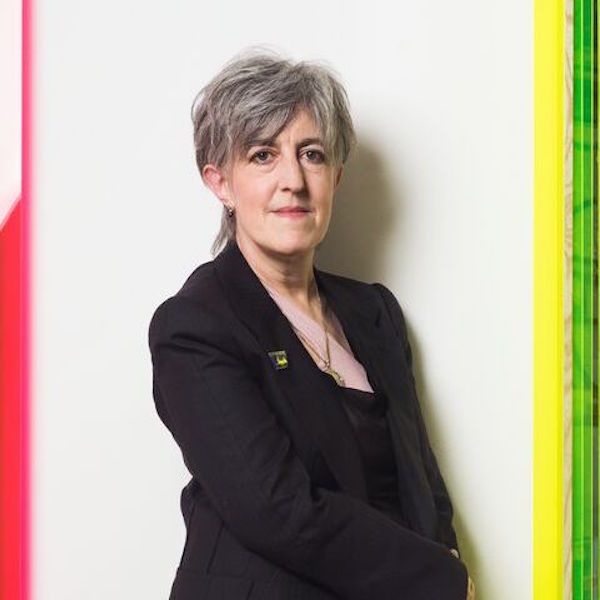 Jyll Bradley's Art For Sale, Exhibitions & Biography | Ocula Artist