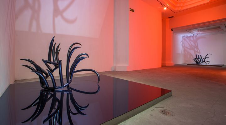 Sun Yuan + Peng Yu | Artist Profile, Exhibitions & Artworks | Ocula