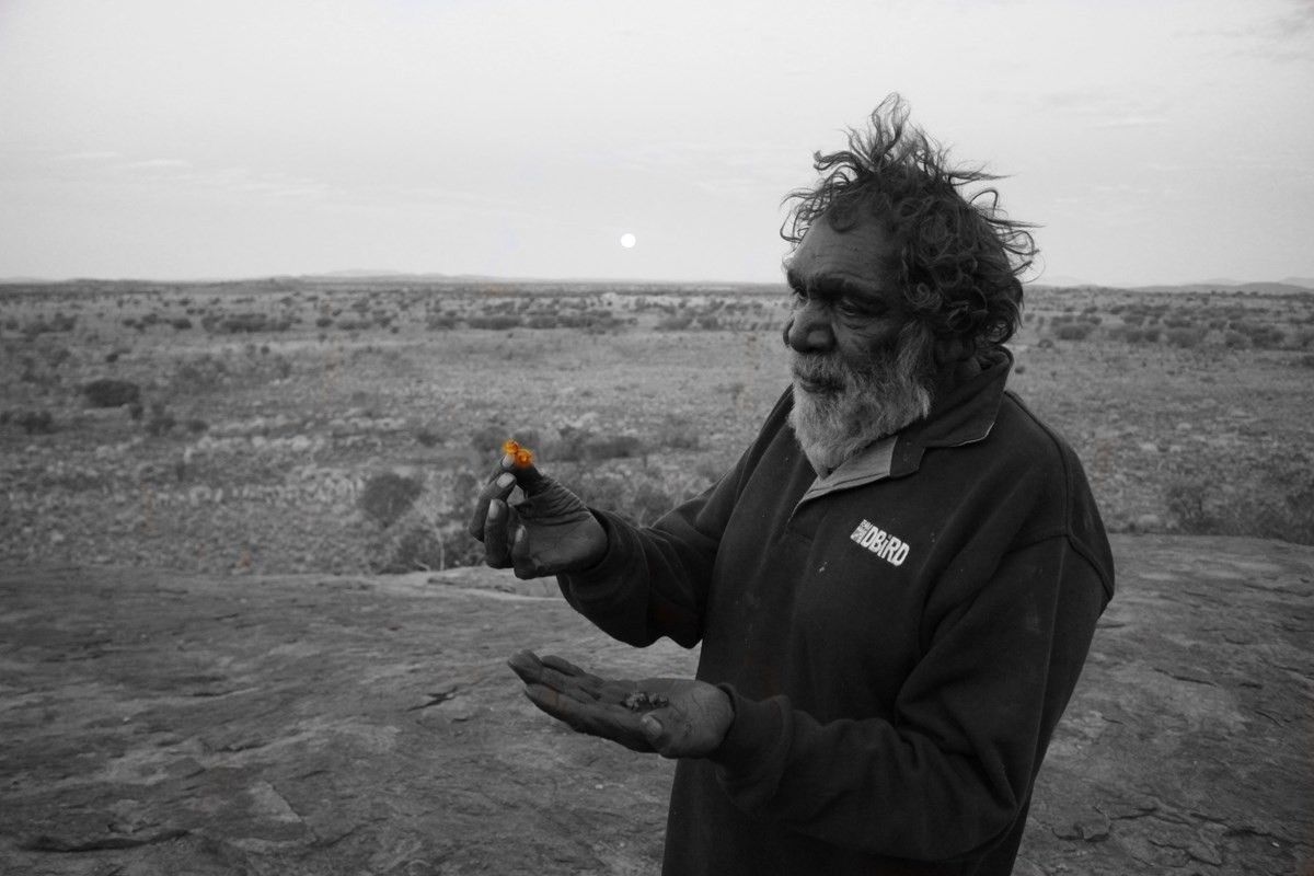 Brenda Douglas Biography, Artworks & Exhibitions | Ocula Artist