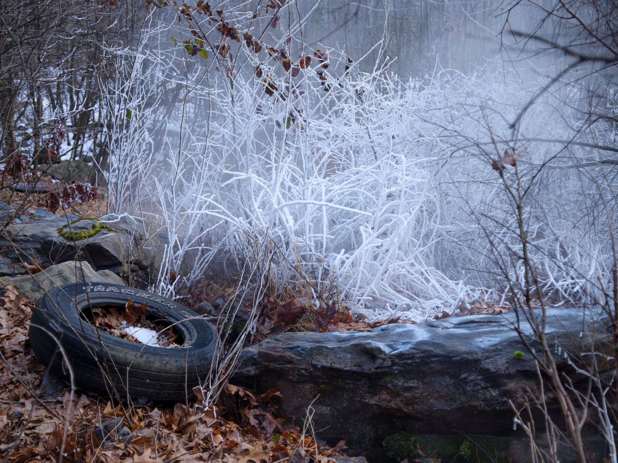 Centralia, 2023 by Malte Sänger, Ultrachrome HDR ink, archival pigment ...