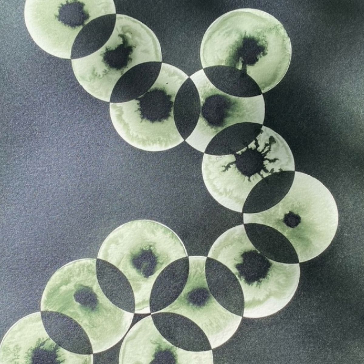 Claudia Paneca Biography, Artworks & Exhibitions | Ocula Artist