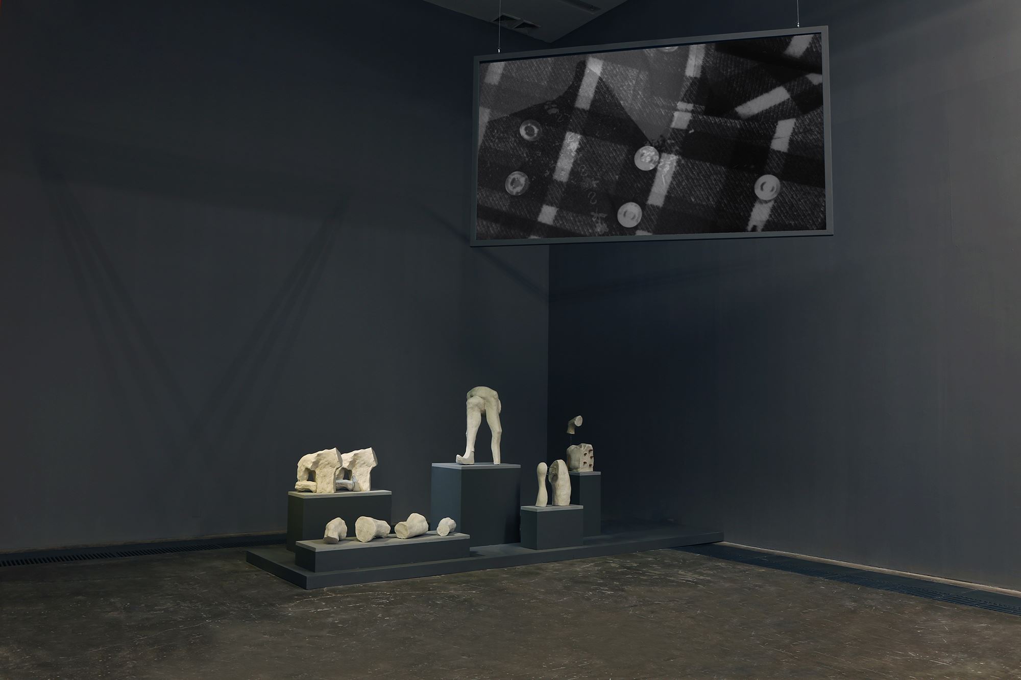 Li Ran Biography, Artworks & Exhibitions | Ocula Artist