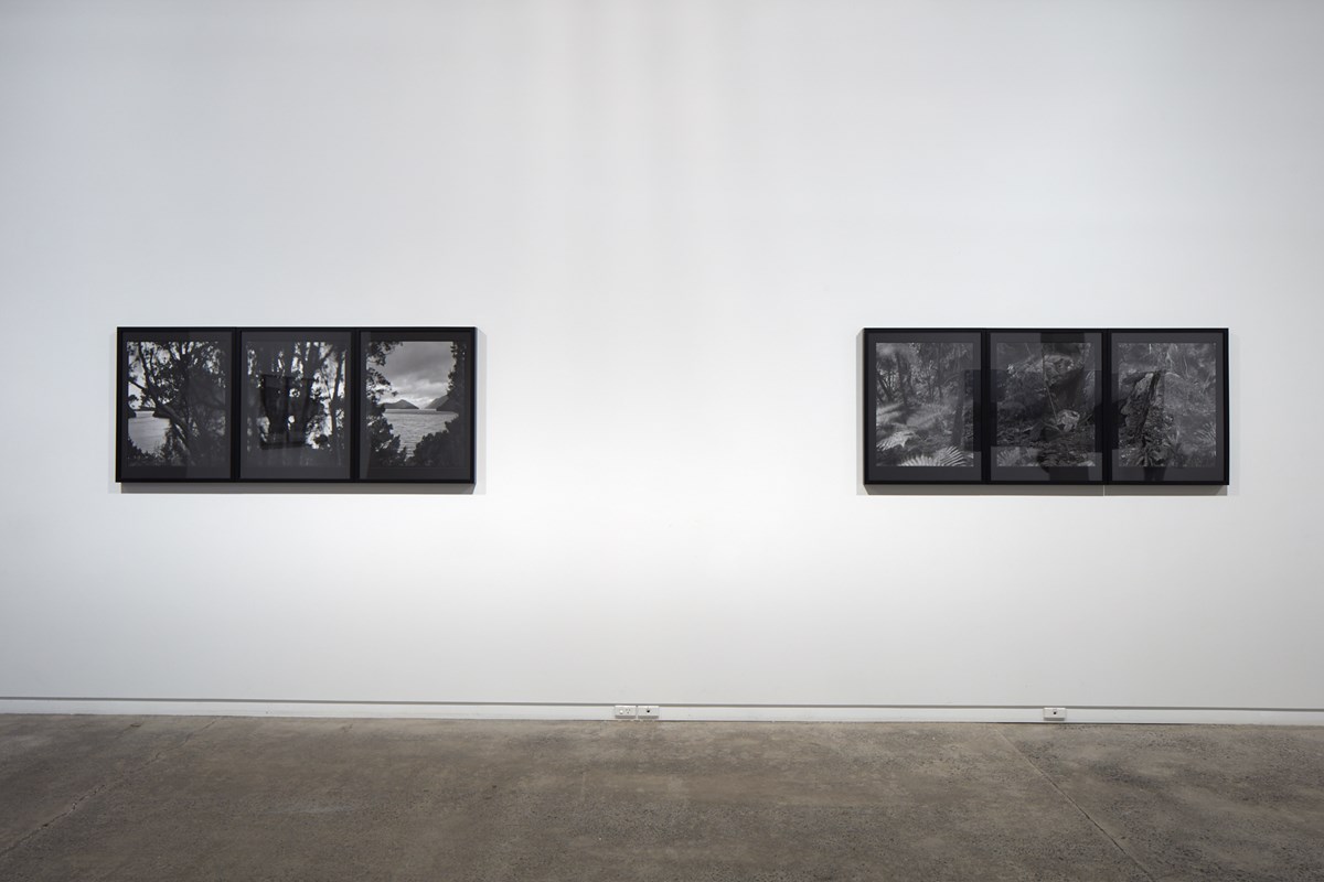 Mark Adams, 'Views from Astronomer's Point' at Two Rooms, Auckland, New ...