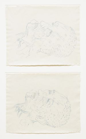 Kiki Smith | Artist Profile, Exhibitions & Artworks | Ocula