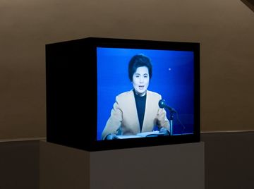 Lin Tianmiao Biography, Artworks & Exhibitions | Ocula Artist