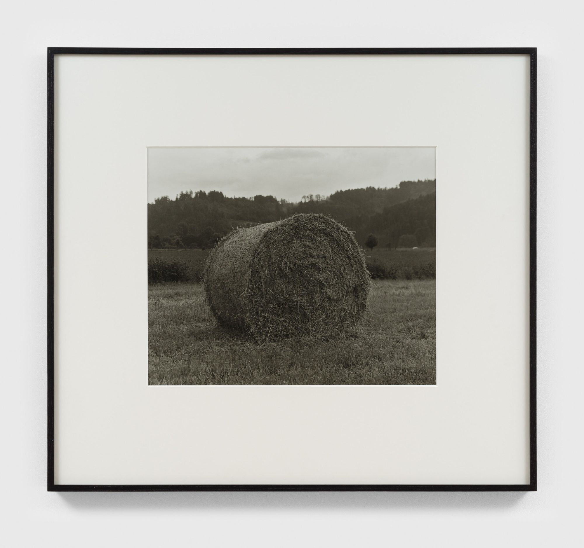 Christopher Williams Biography, Artworks & Exhibitions | Ocula Artist