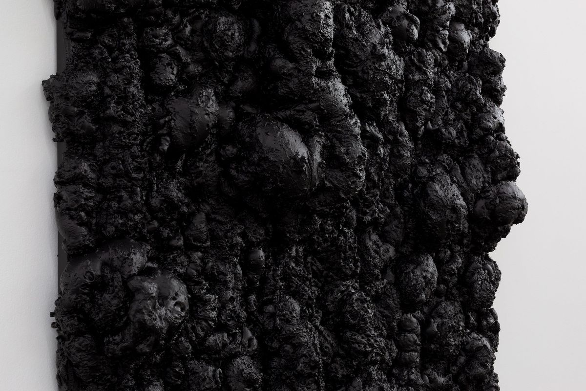 Jan Nelson, 'Black River Running #16' at Anna Schwartz Gallery ...