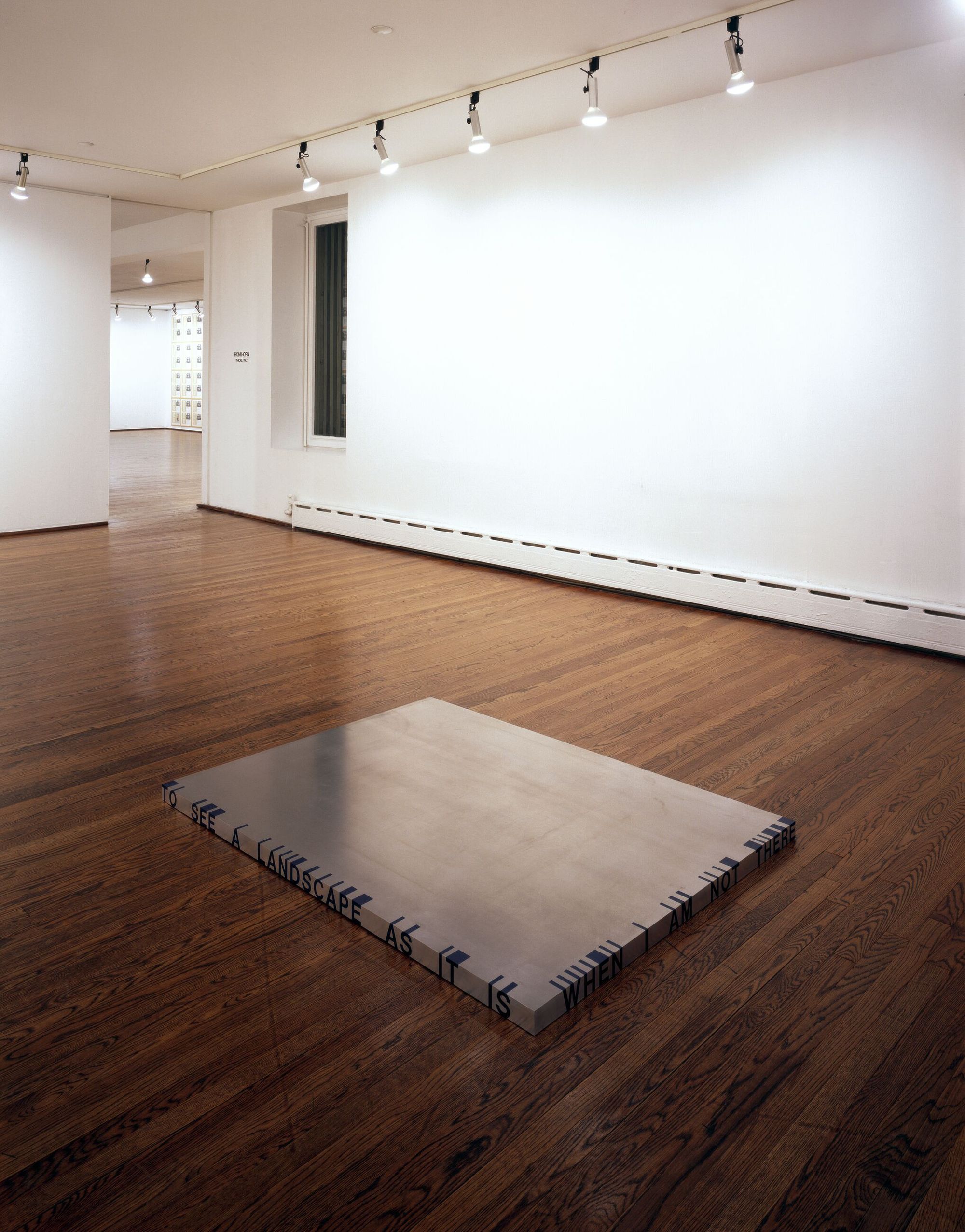 Roni Horn Biography, Artworks & Exhibitions | Ocula Artist
