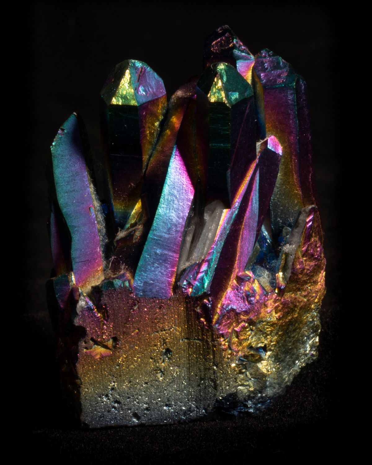 After Kaye Woodward 2021, The Transcenders, 2021 by Greta Anderson | Ocula