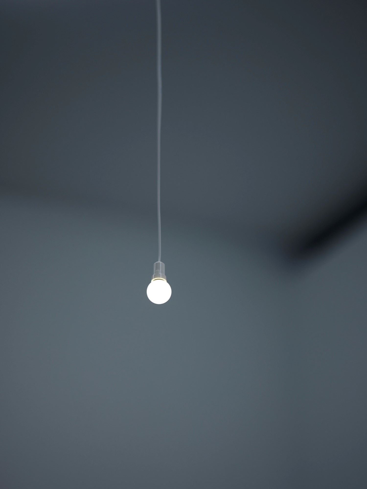 Rei Naito Biography, Artworks & Exhibitions | Ocula Artist