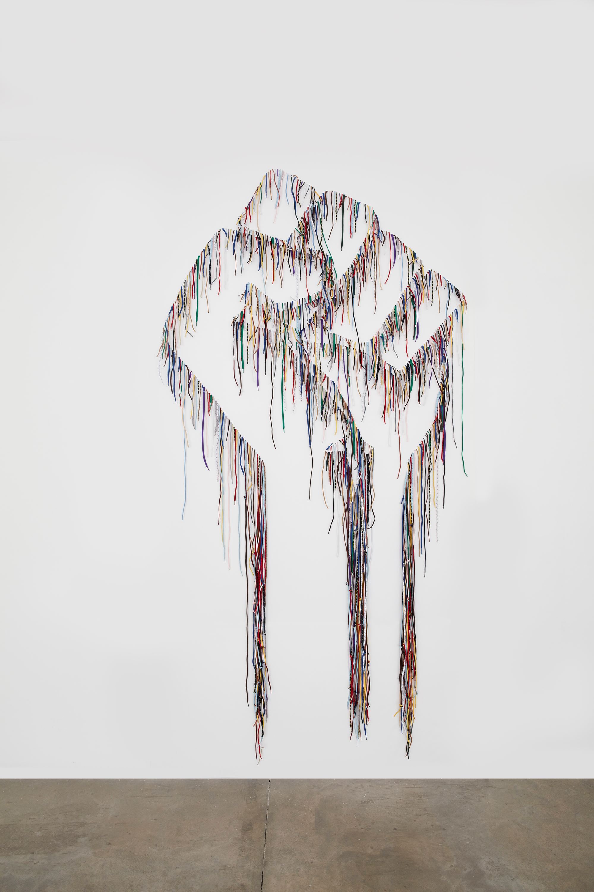 Nari Ward Biography, Artworks & Exhibitions | Ocula Artist
