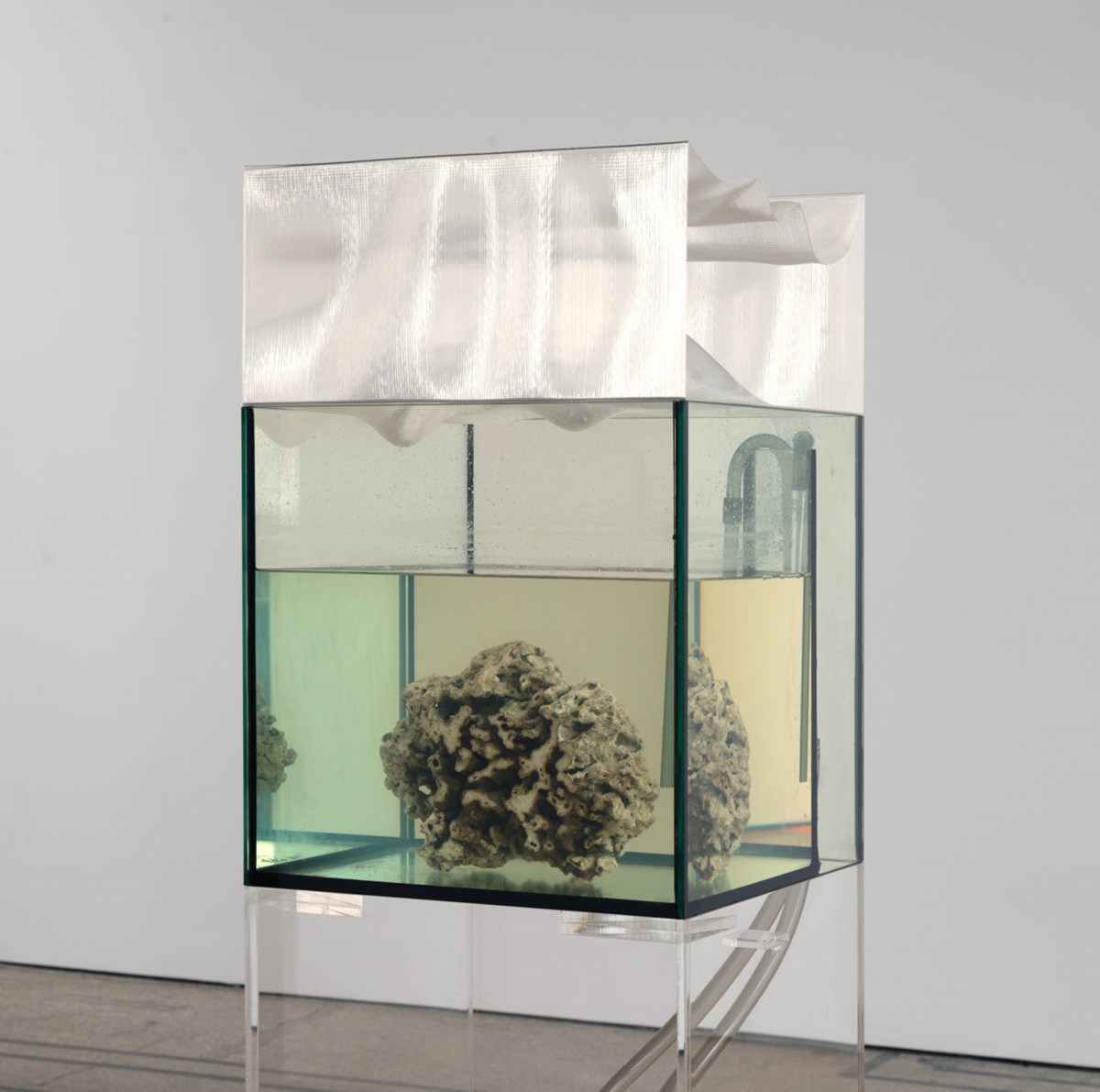 Richard Frater's Art For Sale, Exhibitions & Biography | Ocula Artist