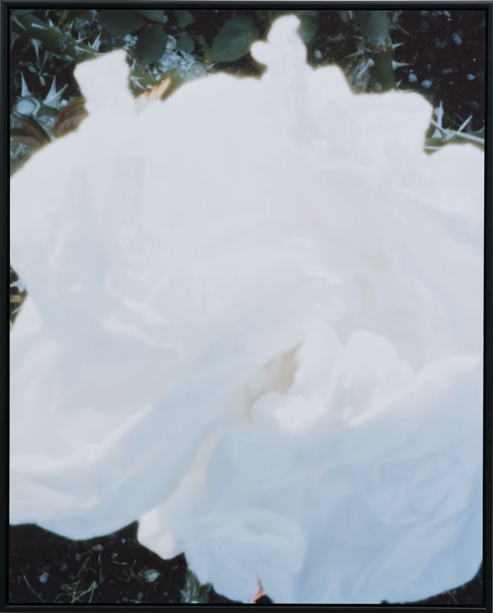 Conor Clarke Artworks | Ocula Artist